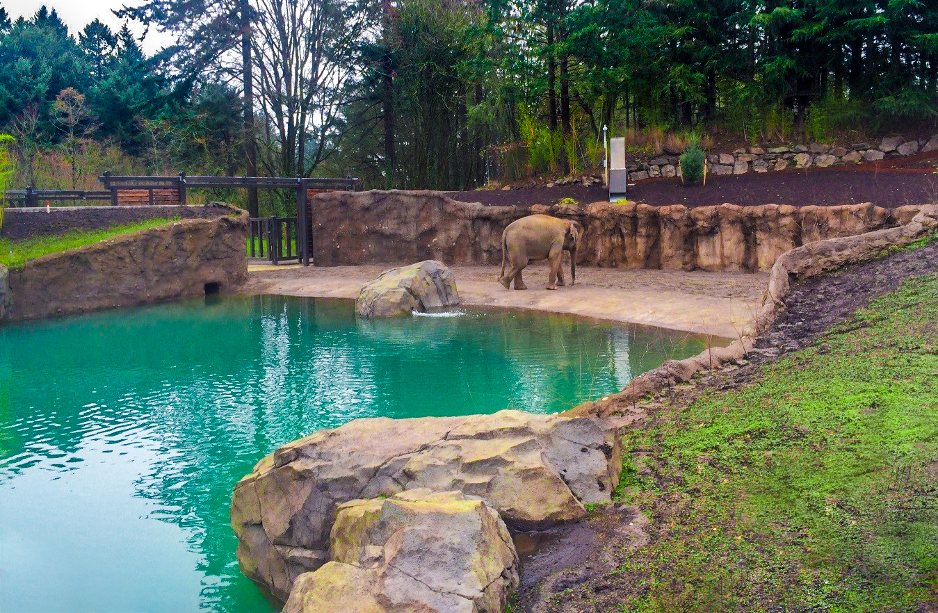 Elephant Lands - RWDI