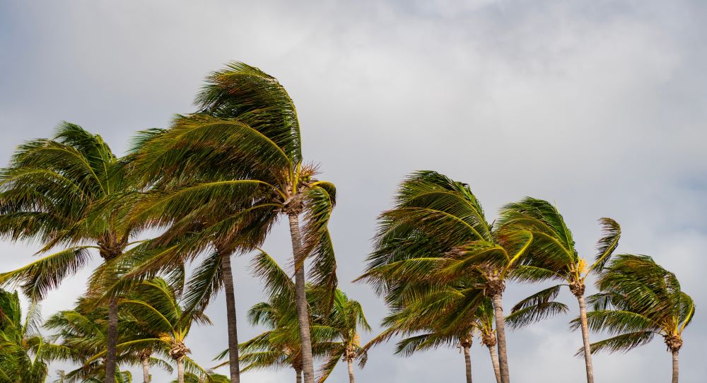 Florida-based extreme weather forensic study - RWDI